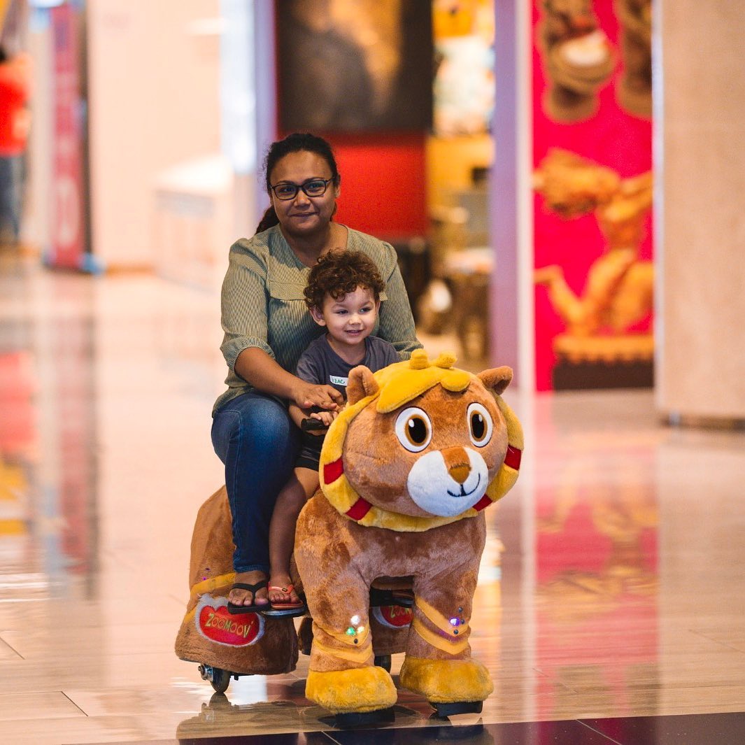 Animal Carnival Ride Rentals in Singapore - Fun for Kids!
